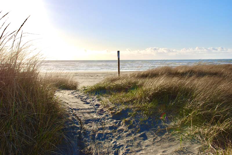 Lighthouse Oceanfront Resort | Long Beach WA Resorts