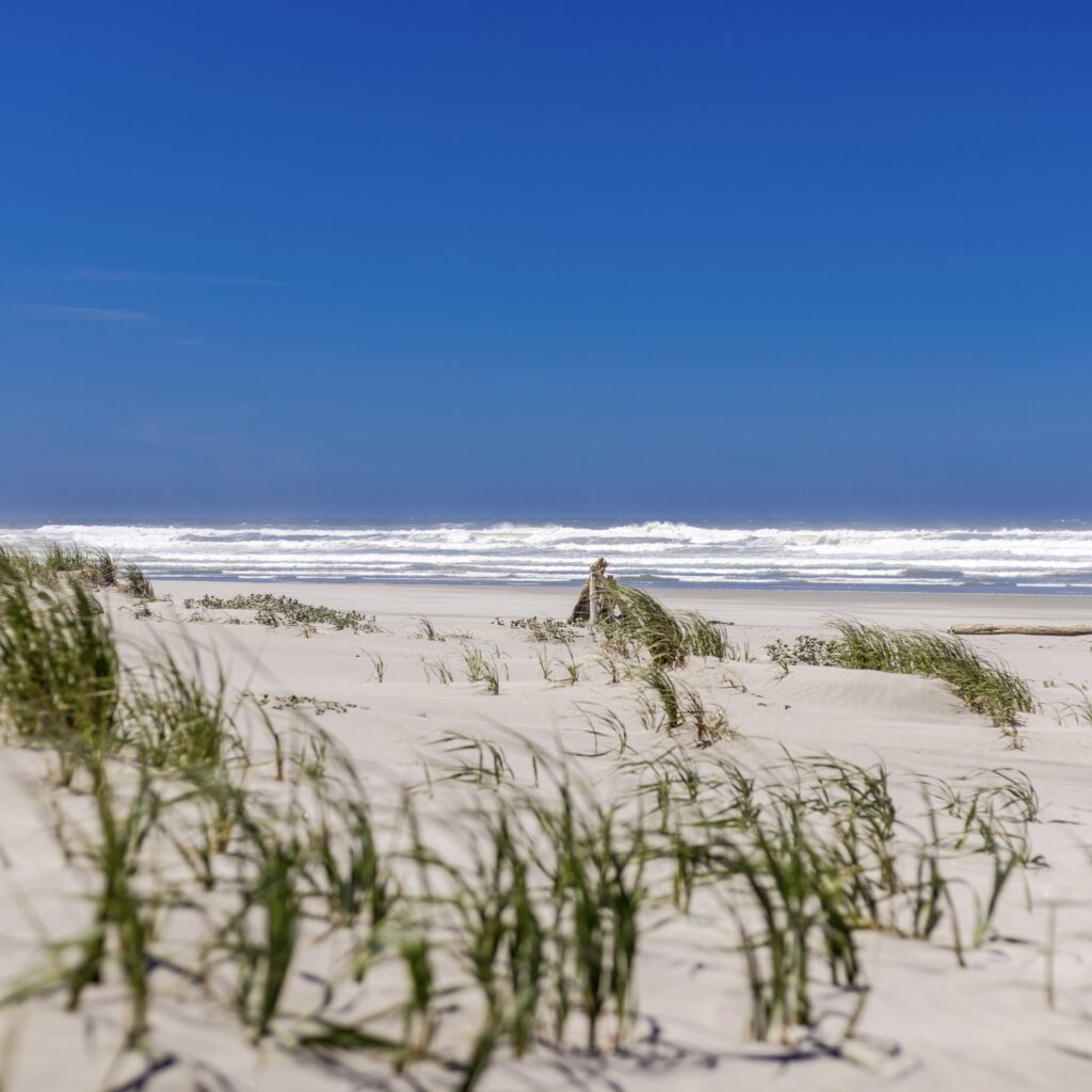 Lighthouse Oceanfront Resort | Long Beach WA Resorts